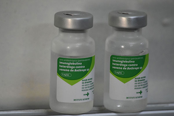 Hospital mantem alerta sobre soro antirrábico - Tribuna do Norte